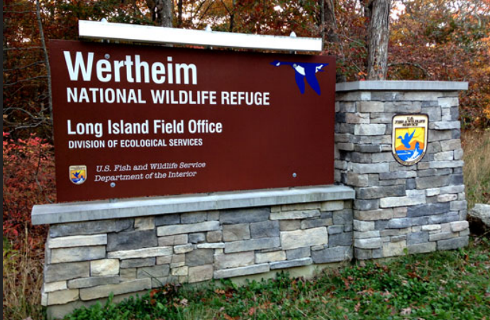 Wertheim National Wildlife Refuge K-0481 – Ham Radio Reviews and Events